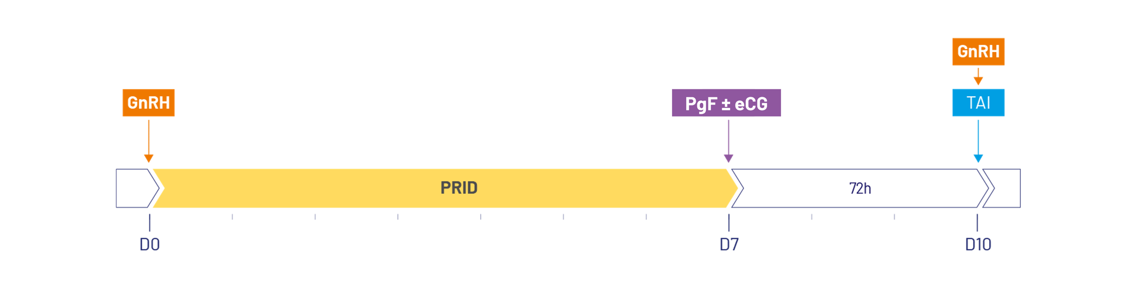 Beef Cow Synchronization Protocols The Effective Strategy To Improve Reproductive Efficiency